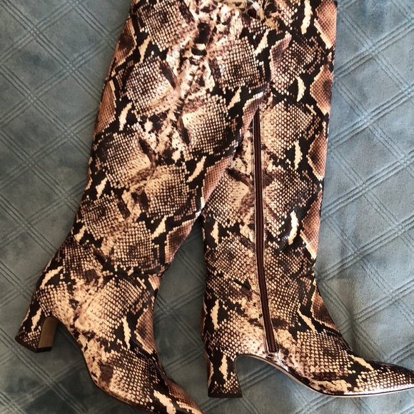 Alex Marie | Shoes | Nwt Alex Marie Snakeskin Tall Boots | Poshmark